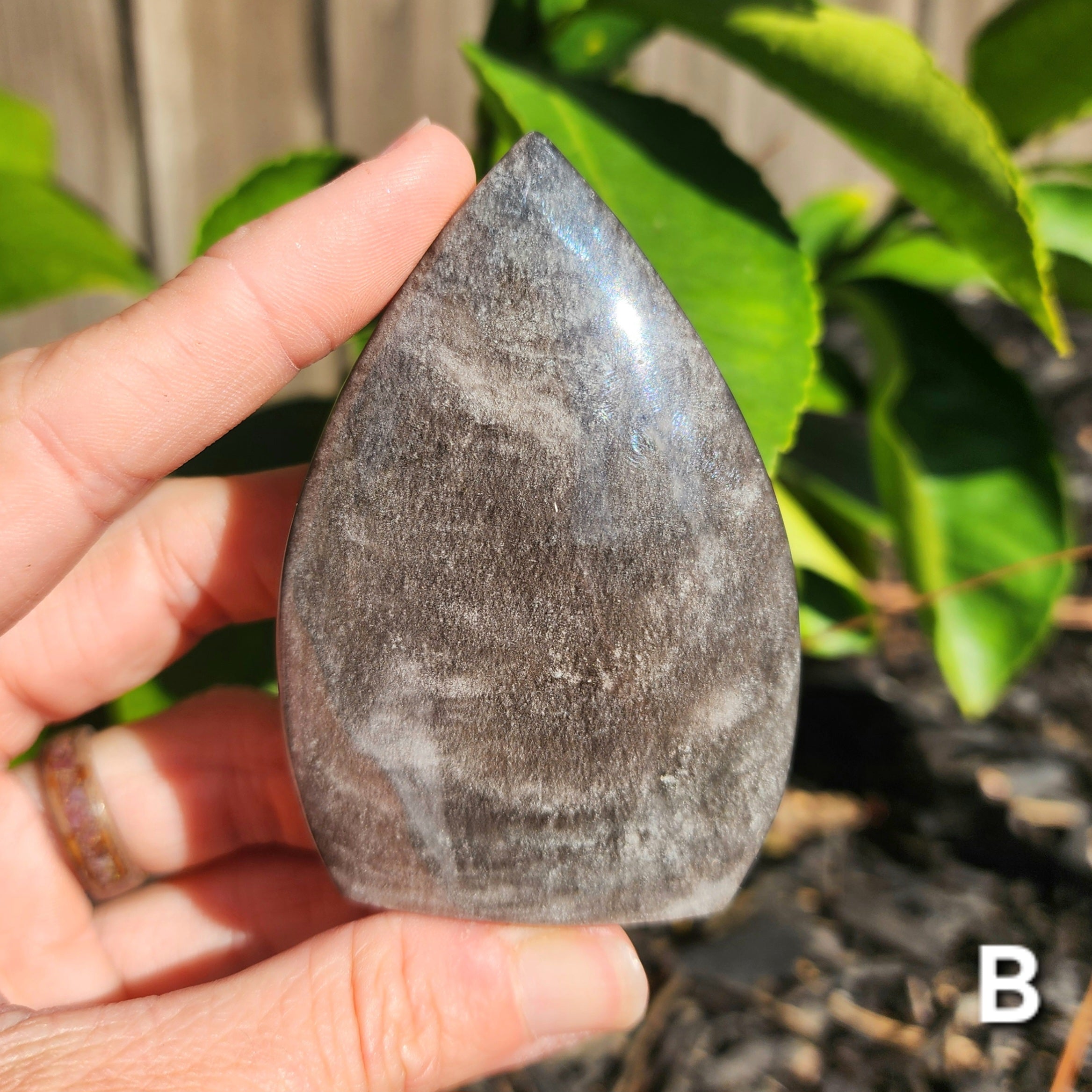 Silver Sheen Obsidian Arrow Shaped Flames – Twisted Goddess Crystals