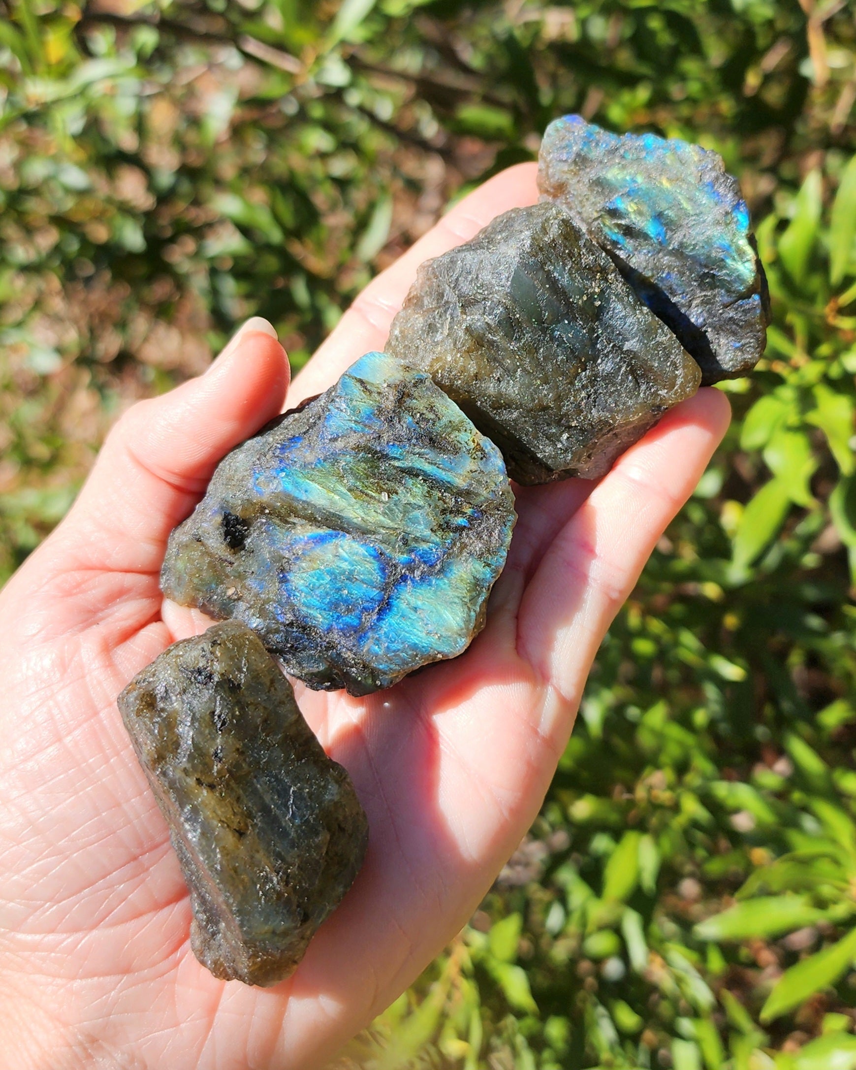 Rough Raw Labradorite – Twisted Goddess Crystals
