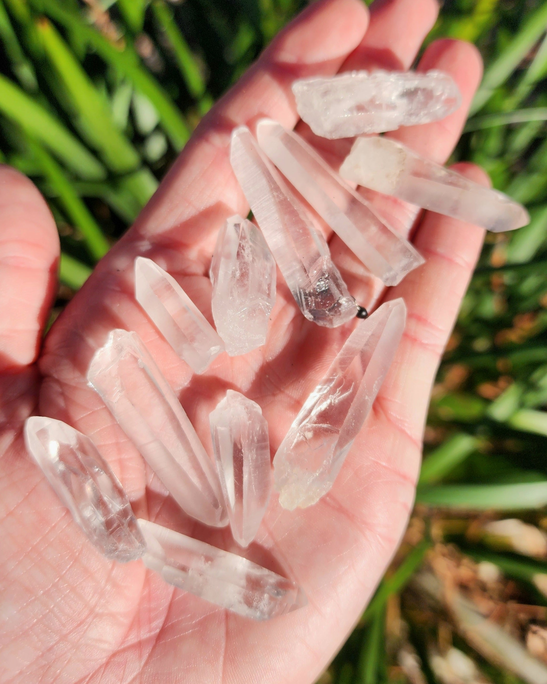 Lemurian Quartz Point – Twisted Goddess Crystals