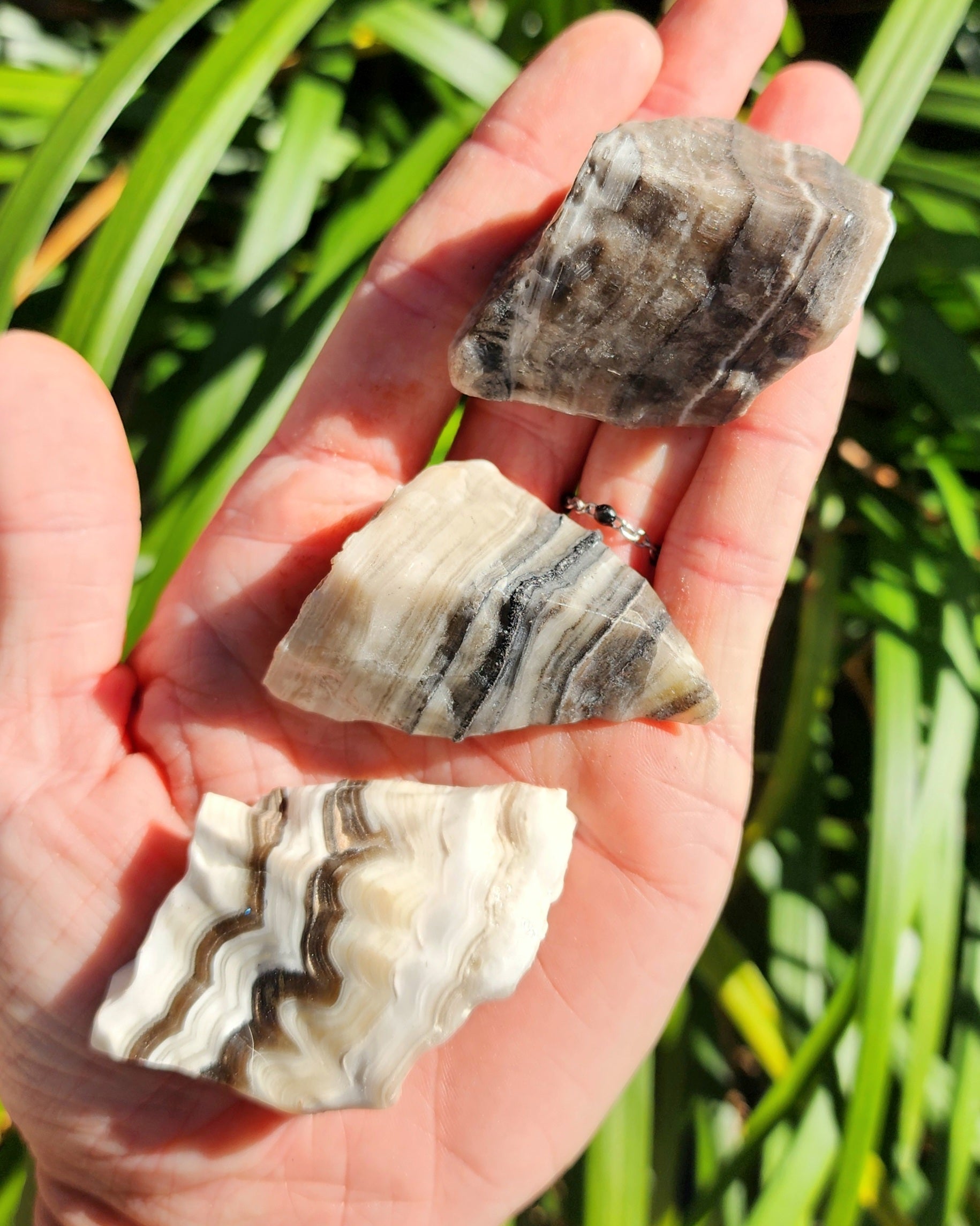 Rough Raw Zebra Calcite – Twisted Goddess Crystals
